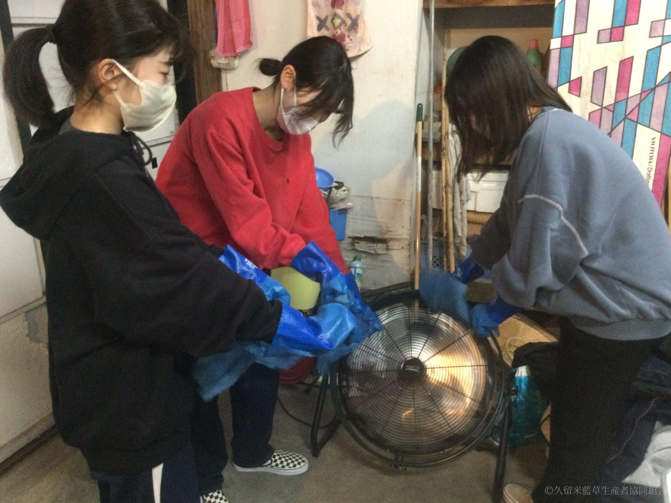 IMG_9928 | 久留米藍草生産者協同組合